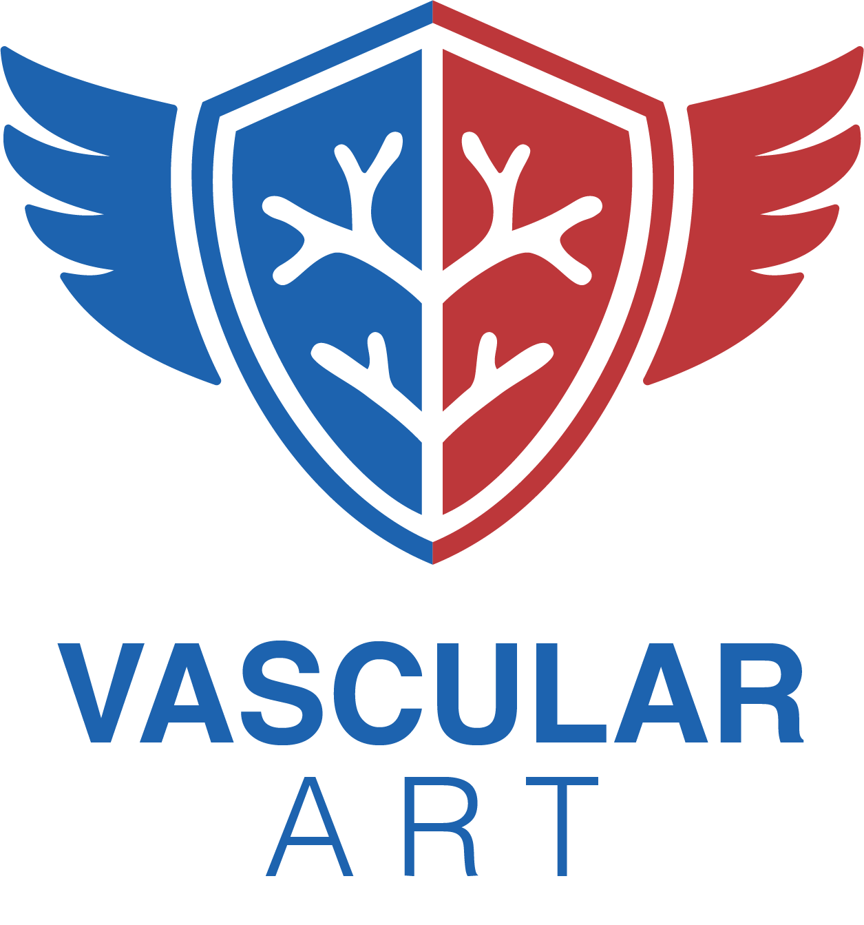Vascular ART - Vascular and Endovascular Surgery